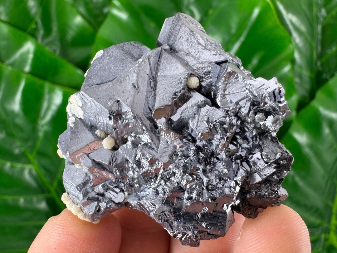 Very Nice Galena With Dolomite From Krushev Dol Mine,madan,bulgaria ...
