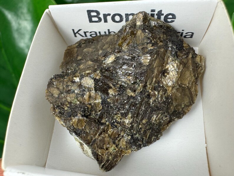 Very Nice Golden Bronzite From Austria,kraubath,styria,mineral,specimen ...