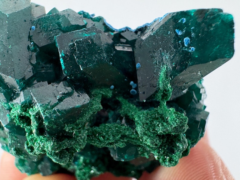 Dioptase With Malachite From Sanda Hills,mindouli,pool Department ...