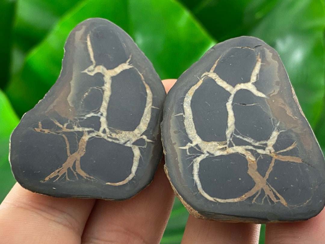 Polished Septarian Geode Pair From Morocco,dragon Stone Black Crystal ...