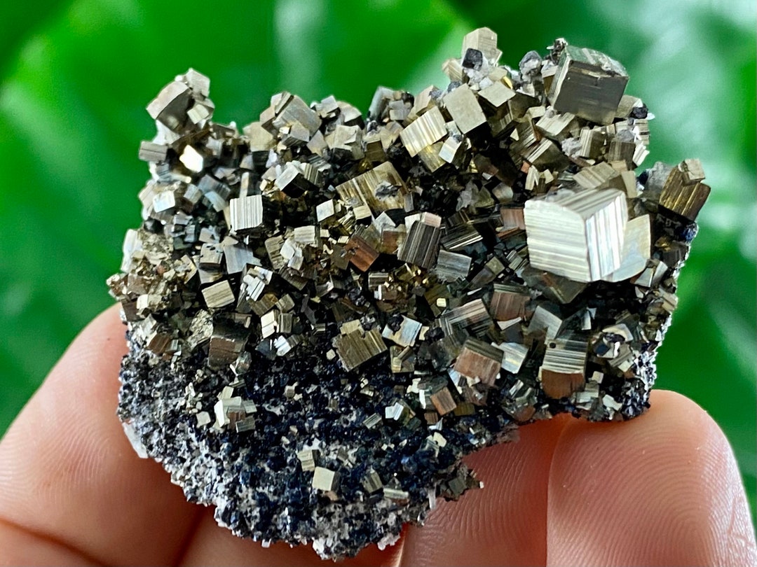 Incredibile pirite su quarzo dalla miniera di Borieva Madan - Etsy Italia