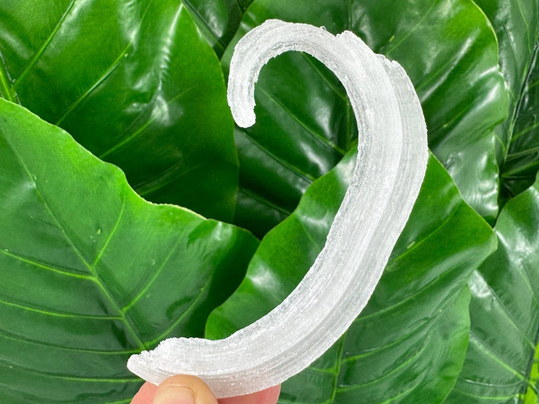 Incredible 'ram's Horn' Selenite- Gypsum From Guizhou,china,rare Gypsum ...