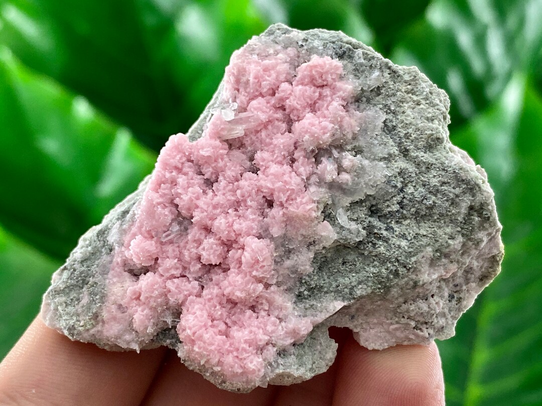 Amazing Crystal Rhodochrosite on Quartz From Davidkovo Ore Filed ...