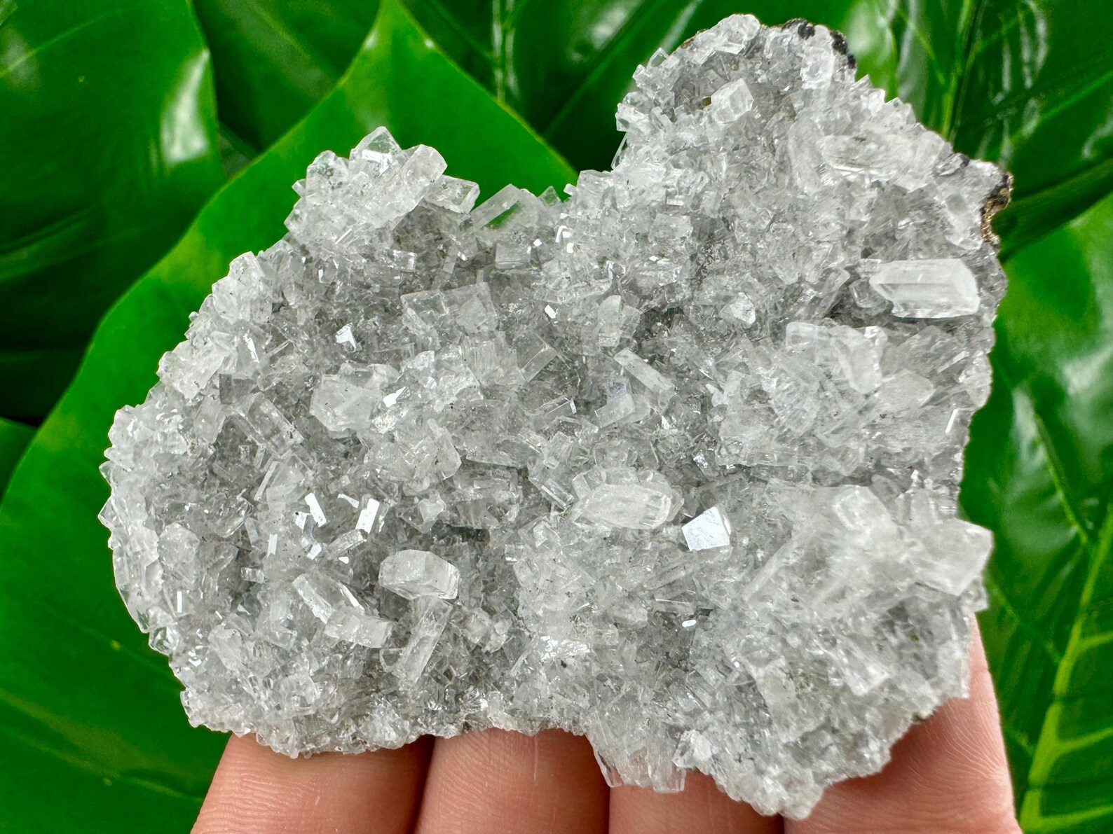Transparent Baryte With Pyrite From Androvo Mine,zlatograd,bulgaria ...