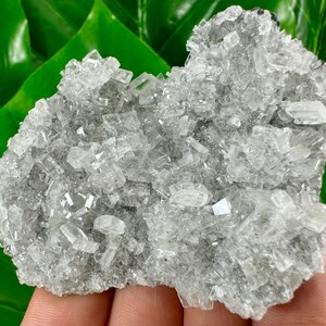 Transparent Baryte With Pyrite From Androvo Mine,zlatograd,bulgaria ...