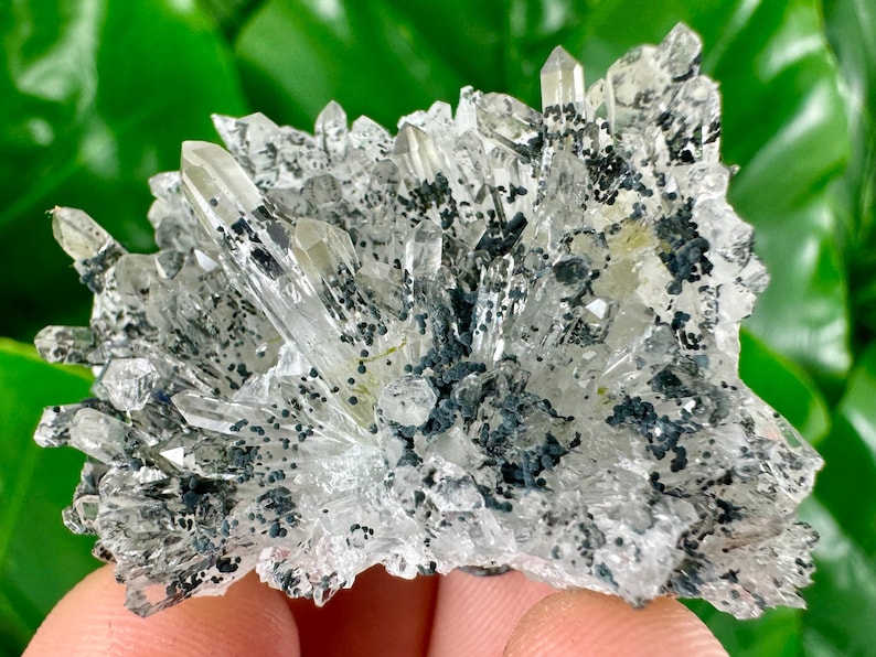 RARE Transparent Quartz With Chlorite From Borieva Mine,madan,bulgaria ...