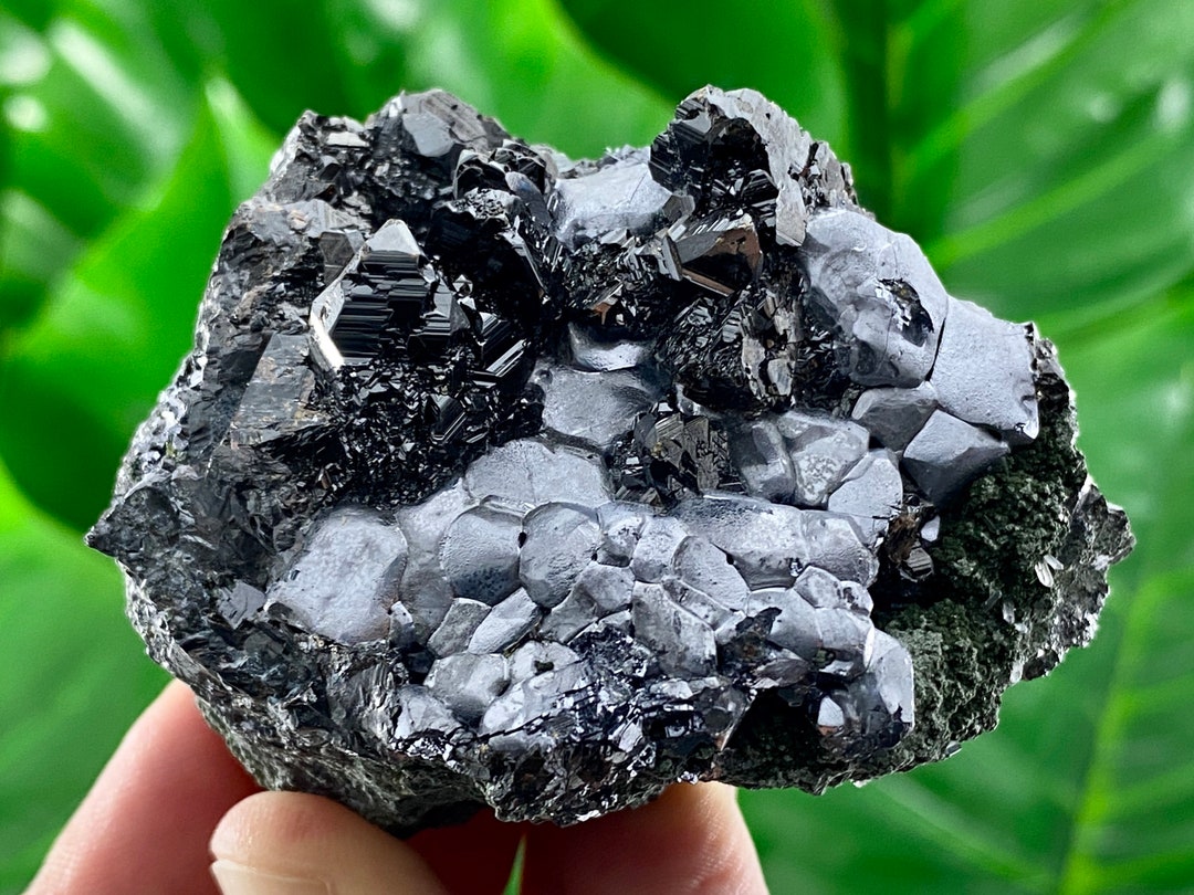 Sphalerite on Melted Galena From Gidurska Mine,madan,bulgaria,specimen ...