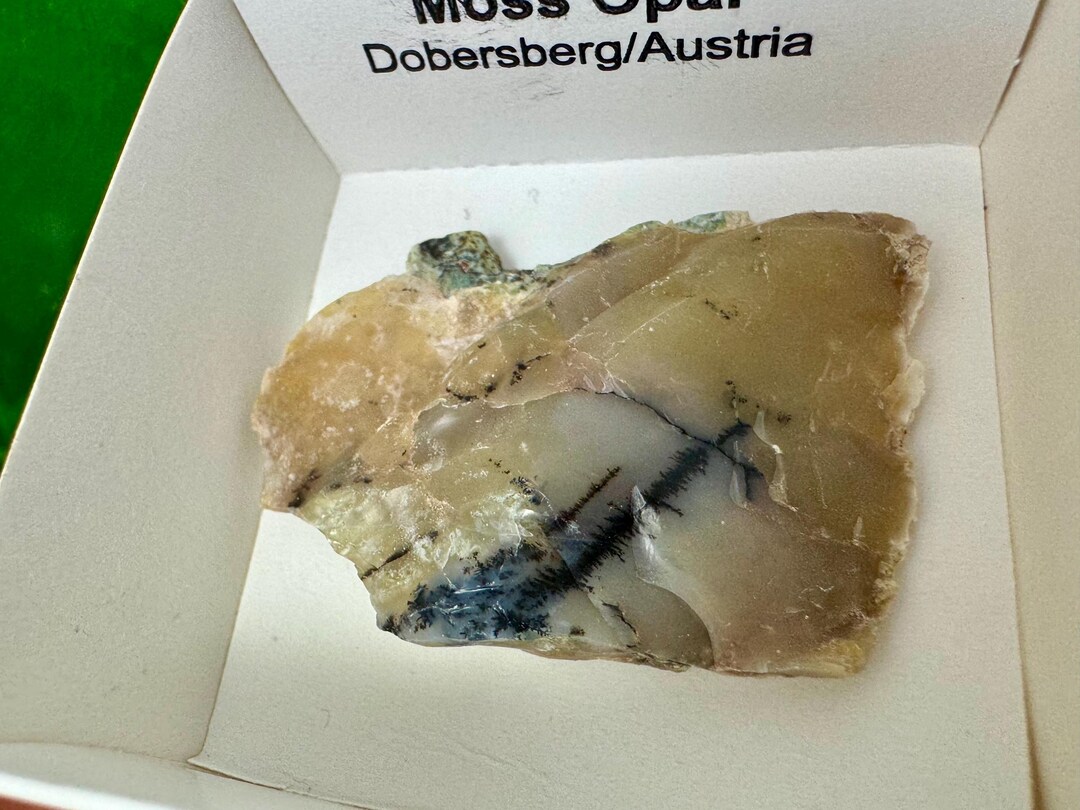 Beautiful Moss Opal From Dobersberg,austria ,mineral,specimeno,crystal ...