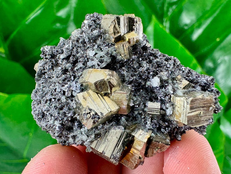 Amazing Pyrite on Sphalerite From Krushev Dol Mine,madan,bulgaria ...