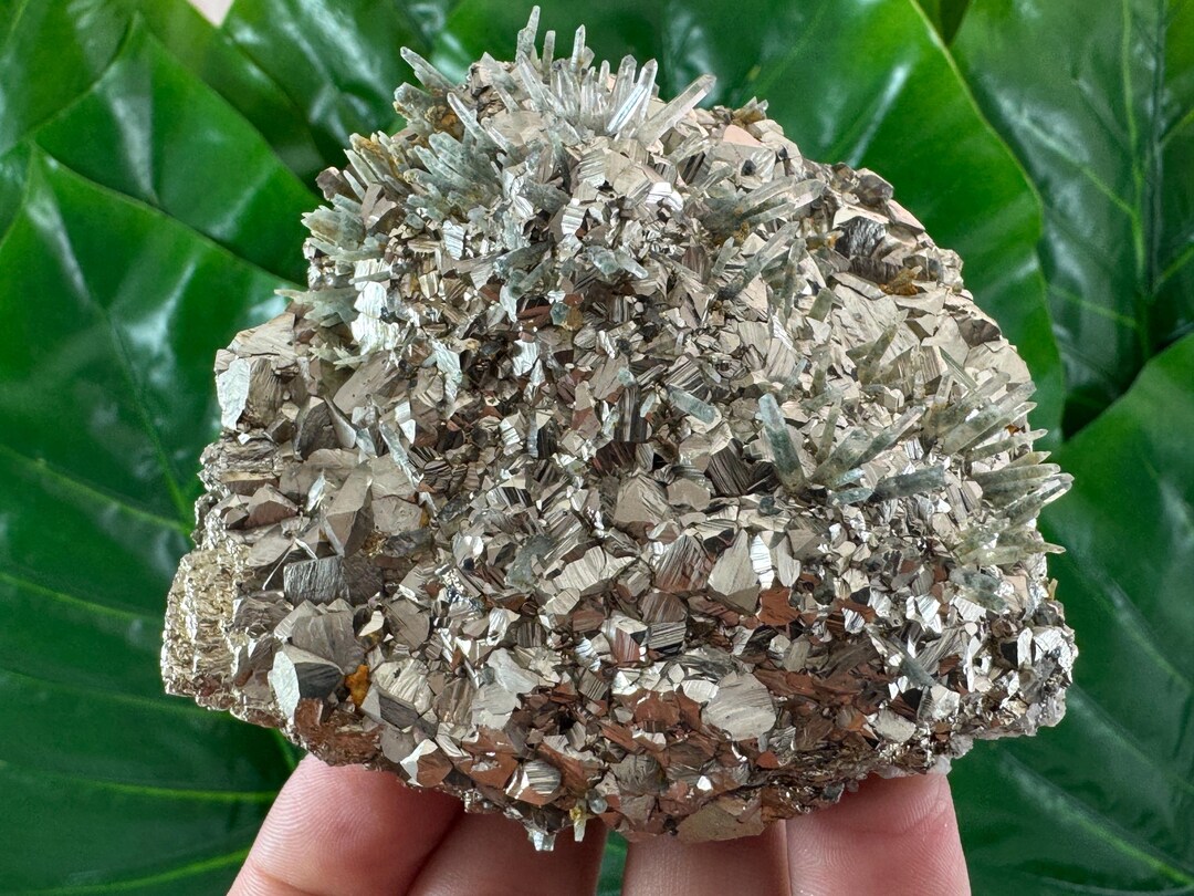 Amazing Pyrite With Quartz From Djurkovo Mine,laki ,bulgaria,crystal ...