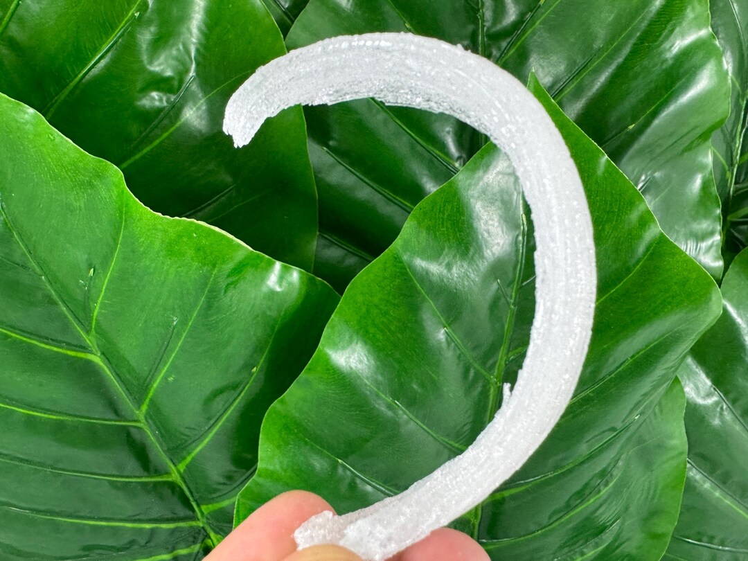 Incredible 'ram's Horn' Selenite- Gypsum From Guizhou,china,rare Gypsum ...