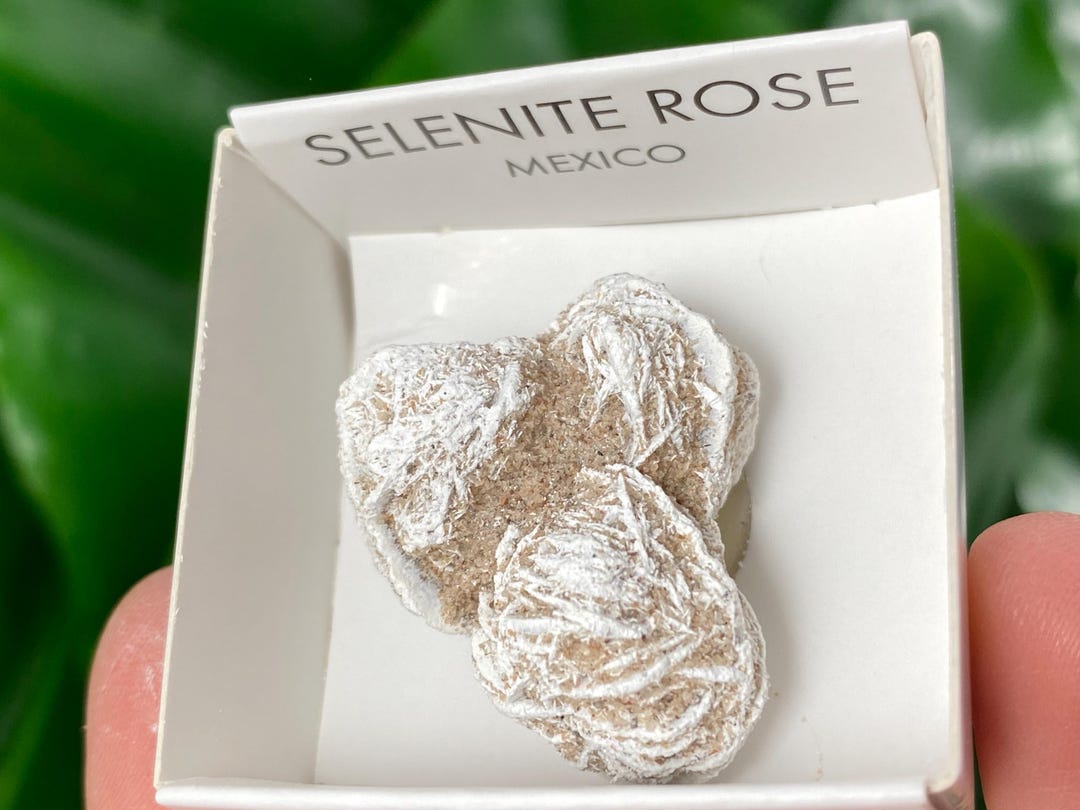 Natural Selenite Rose From Mexico – Gypsum Desert Rose Crystal,mineral ...