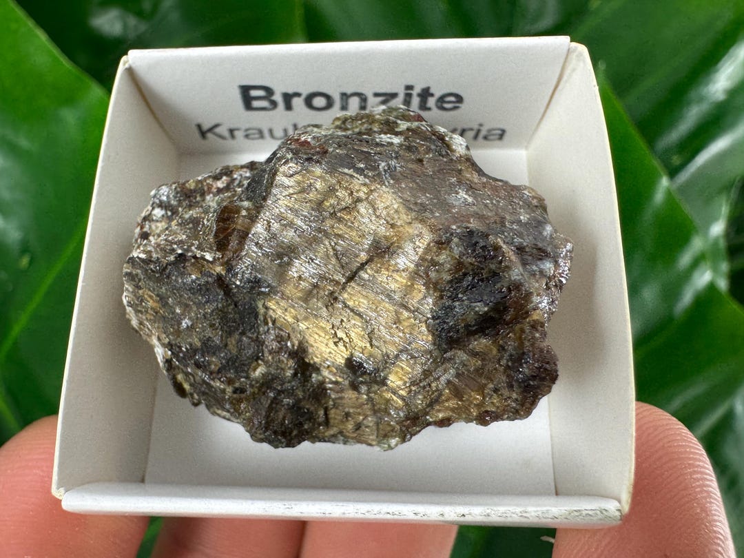 Very Nice Golden Bronzite From Austria,kraubath,styria,mineral,specimen ...