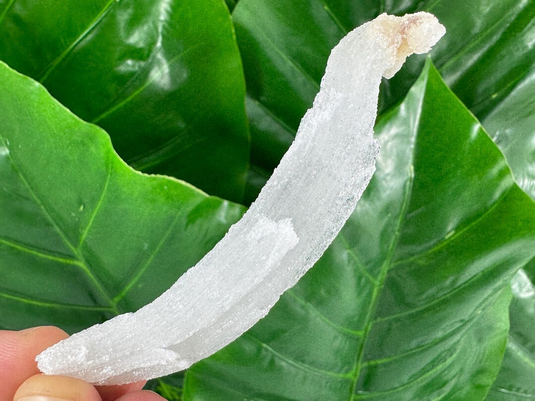 Incredible 'ram's Horn' Selenite- Gypsum From Guizhou,china,rare Gypsum ...