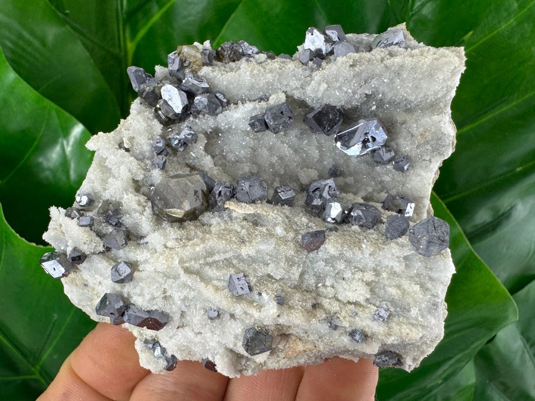 Incredible Galena With Gem Sphalerite on Quartz From Krushev Dol Mine ...