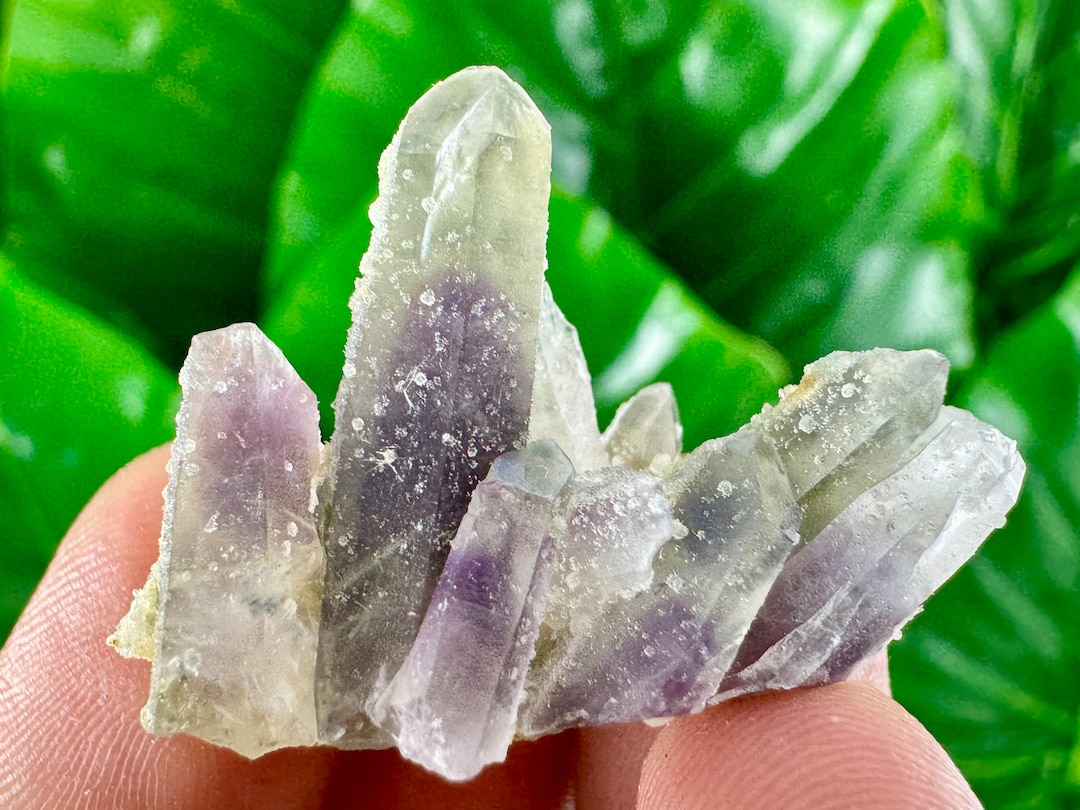 Rare Amethyst Phantom From Djurkovo Mine,laki,bulgaria,home Decor ...