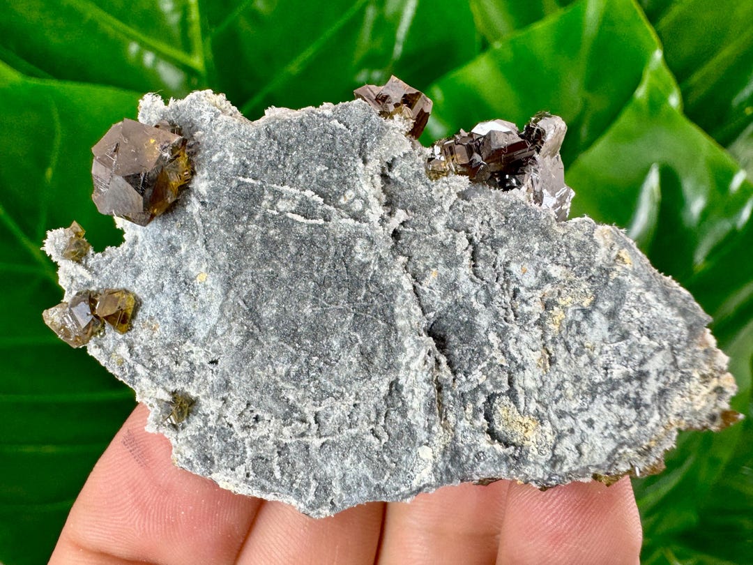 Gem Sphalerite on Matrix From Krushev Dol Mine,madan,bulgaria,home ...