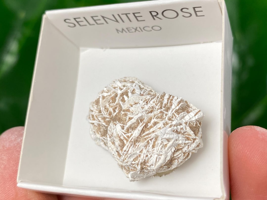 Natural Selenite Rose From Mexico – Gypsum Desert Rose Crystal,mineral ...
