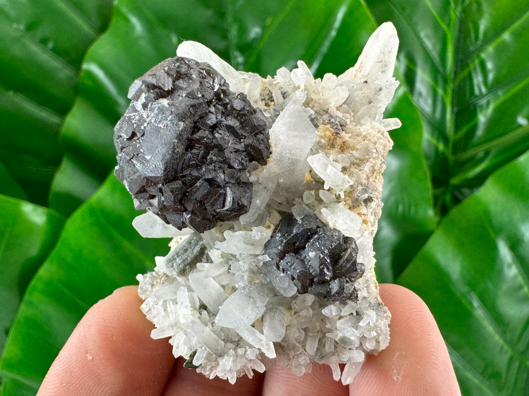 Gem Sphalerite Var Cleiophane,pyrite,limonite on Quartz From 9th ...