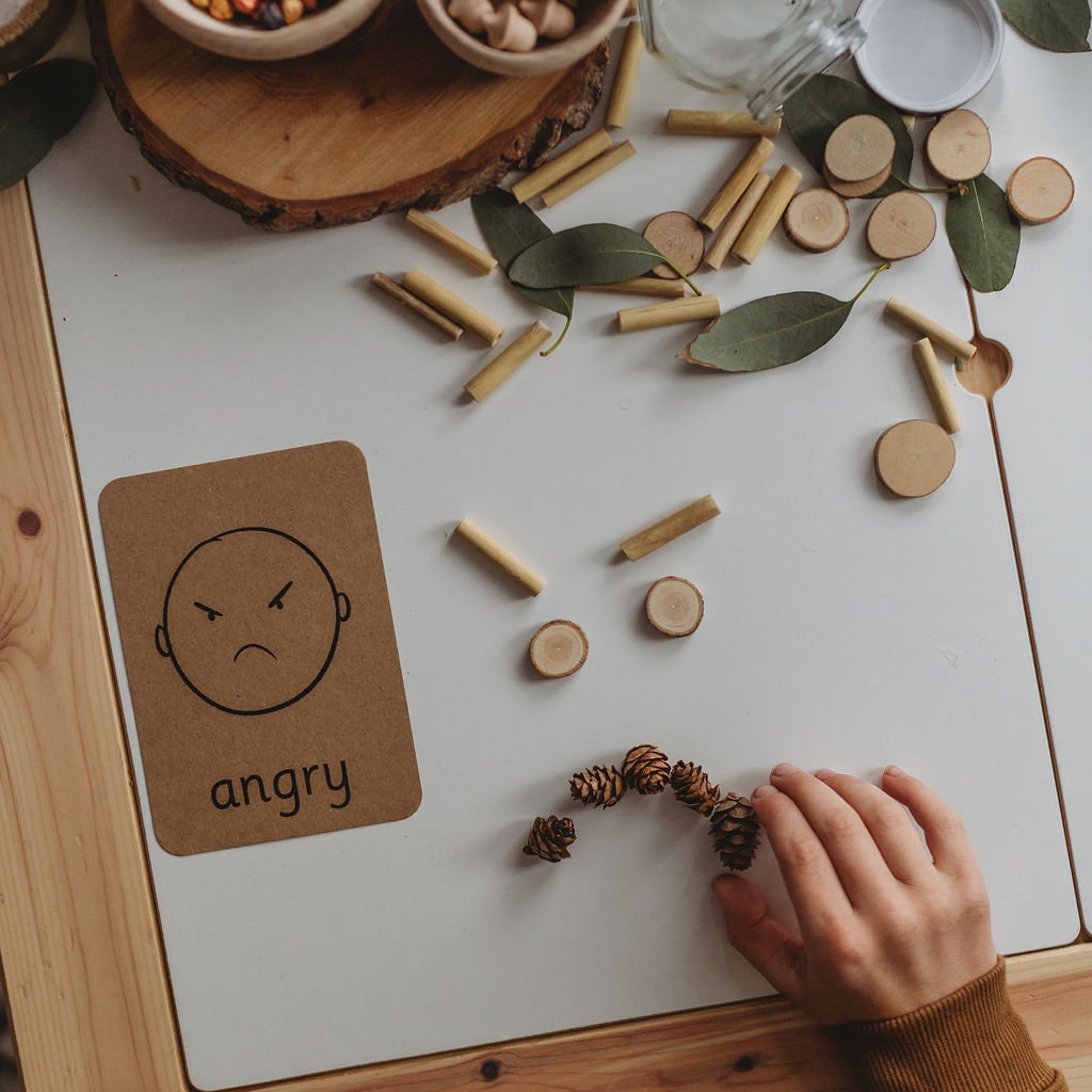 Emotion Flashcards Montessori Learning Resource - Etsy UK