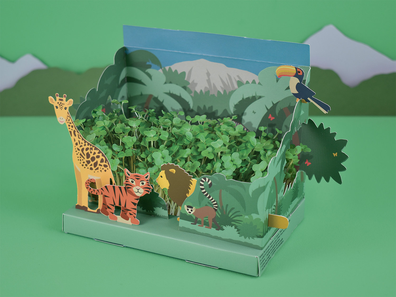 Grow Your Own Mini Jungle Garden - Etsy