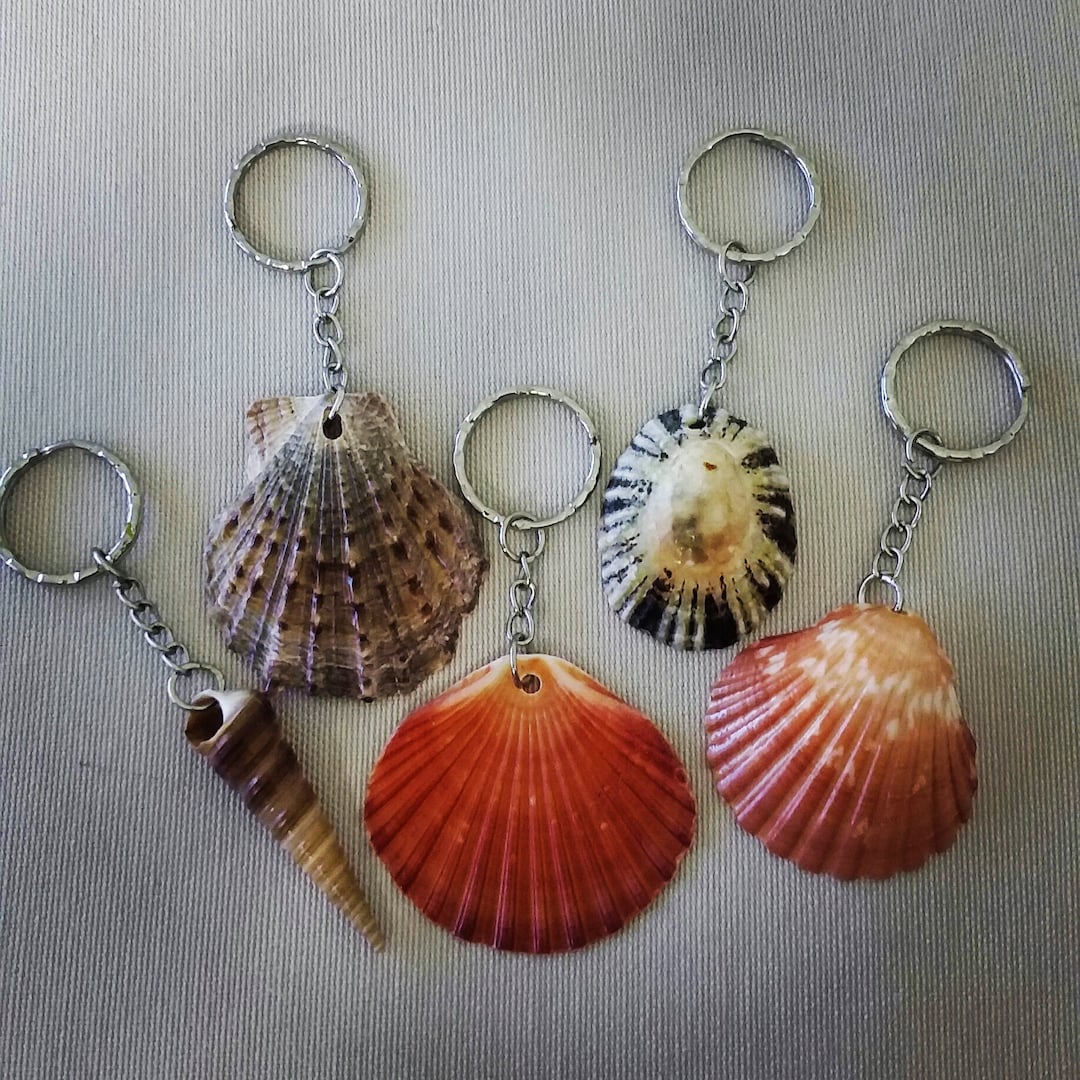 Seashell Key Chain Beach Key Chain Key Ring Key Fob Seashell Key Holder ...
