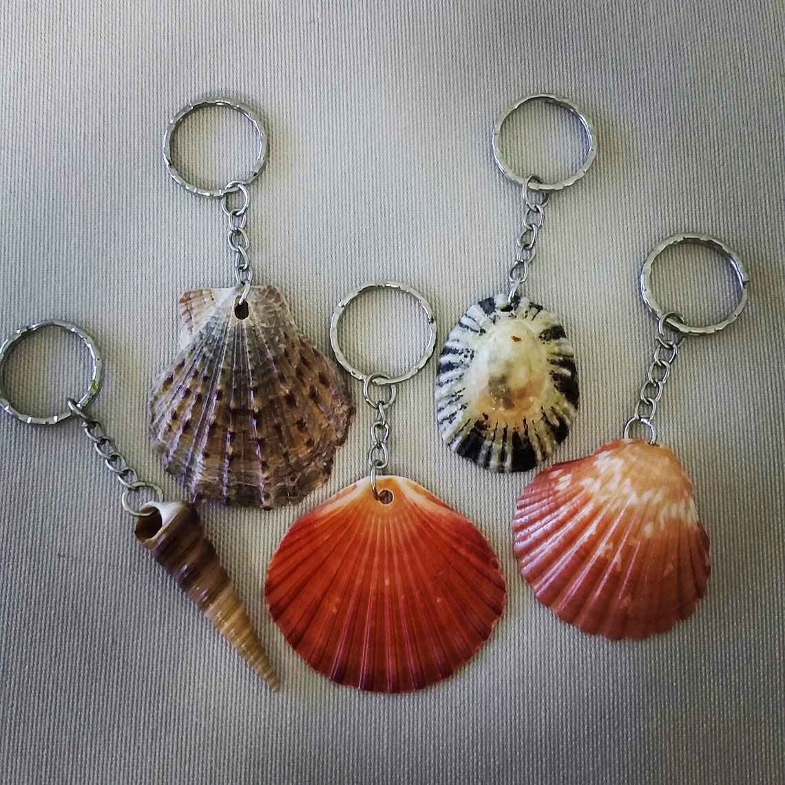 Seashell Key Chain Beach Key Chain Key Ring Key Fob | Etsy