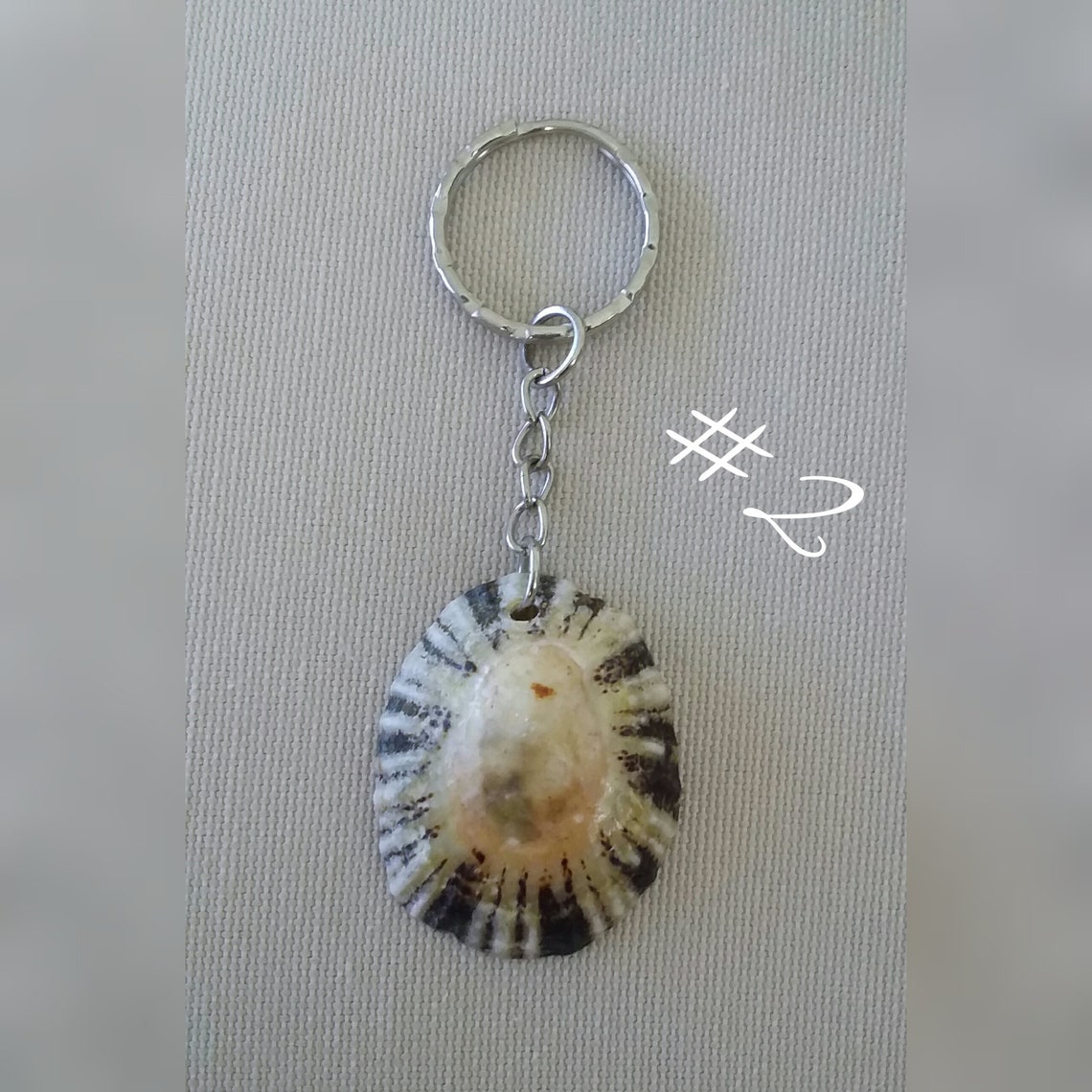Seashell Key Chain Beach Key Chain Key Ring Key Fob | Etsy