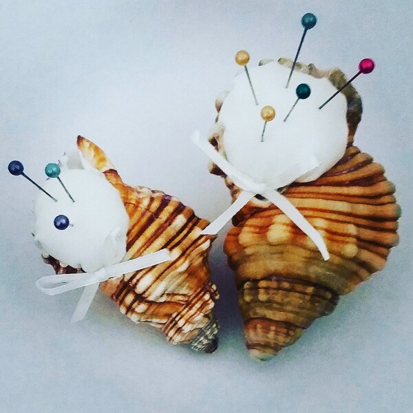 Seashell Pin - Etsy