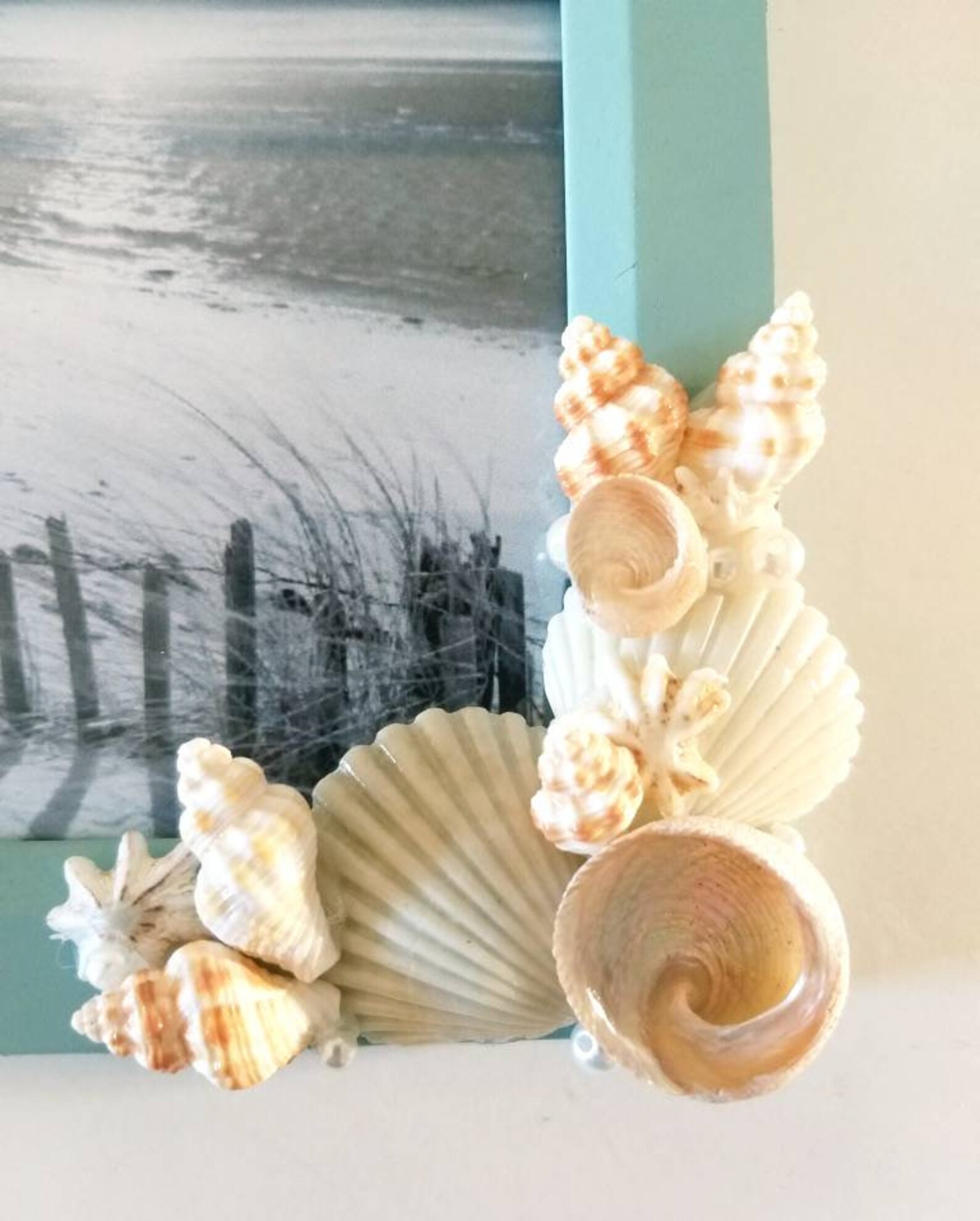 Beach Decor Seashell Gift Box and Frame Seashell Box Shell - Etsy