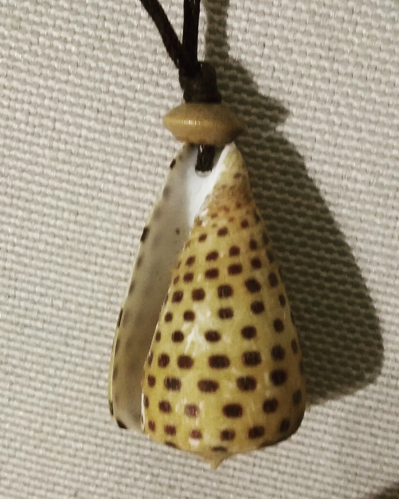 Seashell Choker Necklace Hippie Adjustable Shell Necklace | Etsy