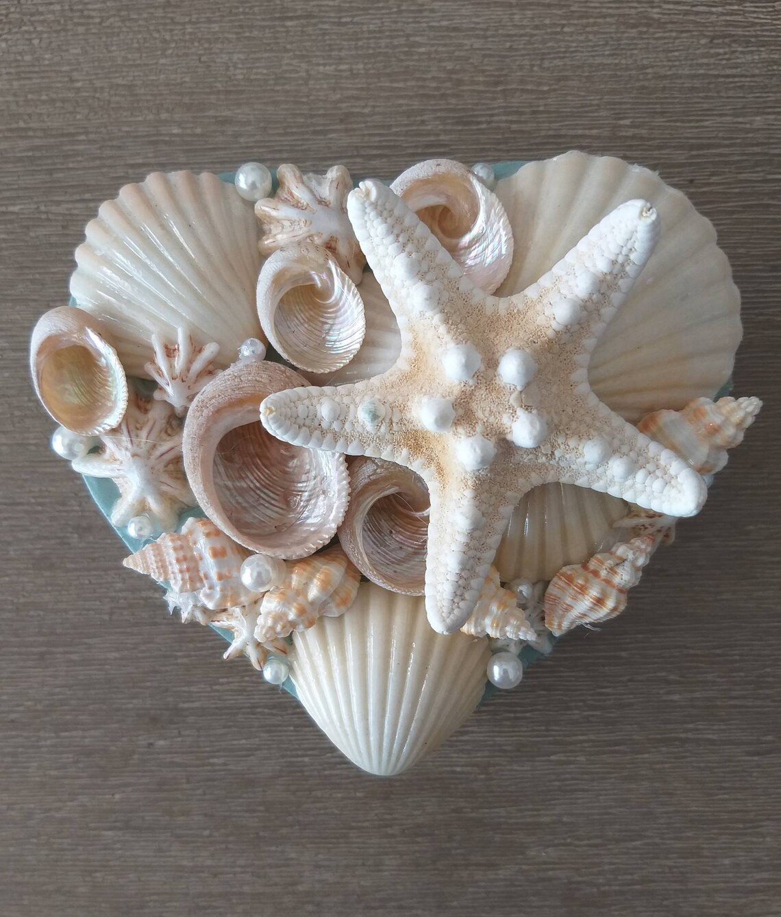 Beach Decor Seashell Gift Box and Frame Seashell Box Shell - Etsy