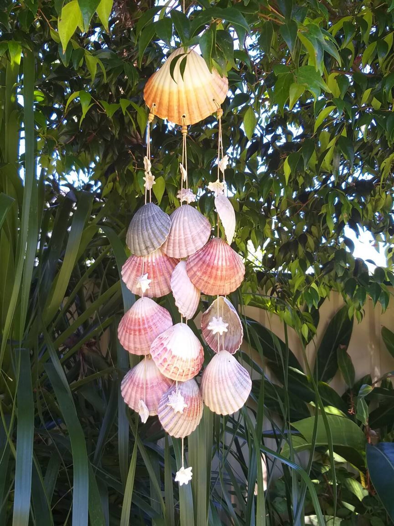 Seashell Wind Chime, Windchime, Garden Decor, Wall Hanging - Etsy