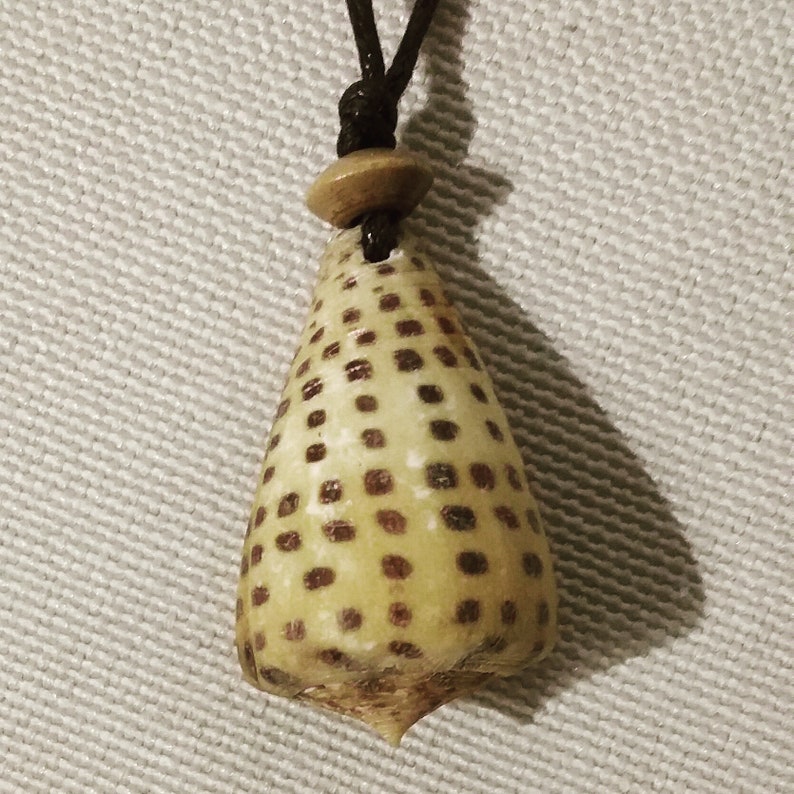 Seashell Choker Necklace Hippie Adjustable Shell Necklace | Etsy