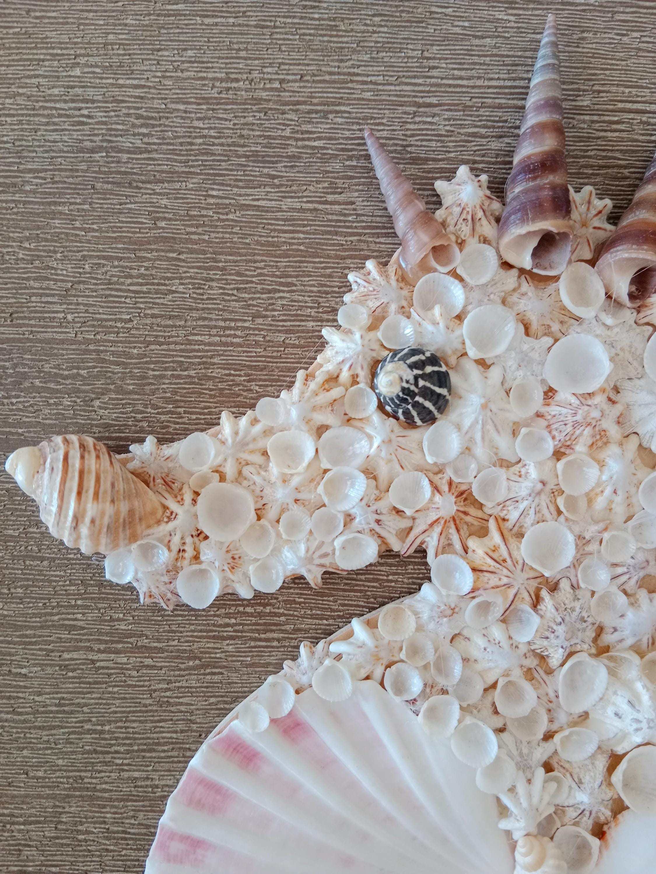 Seahorse - Seashell Seahorse - Seahorse Wall Art - Sea Horse - Shell ...
