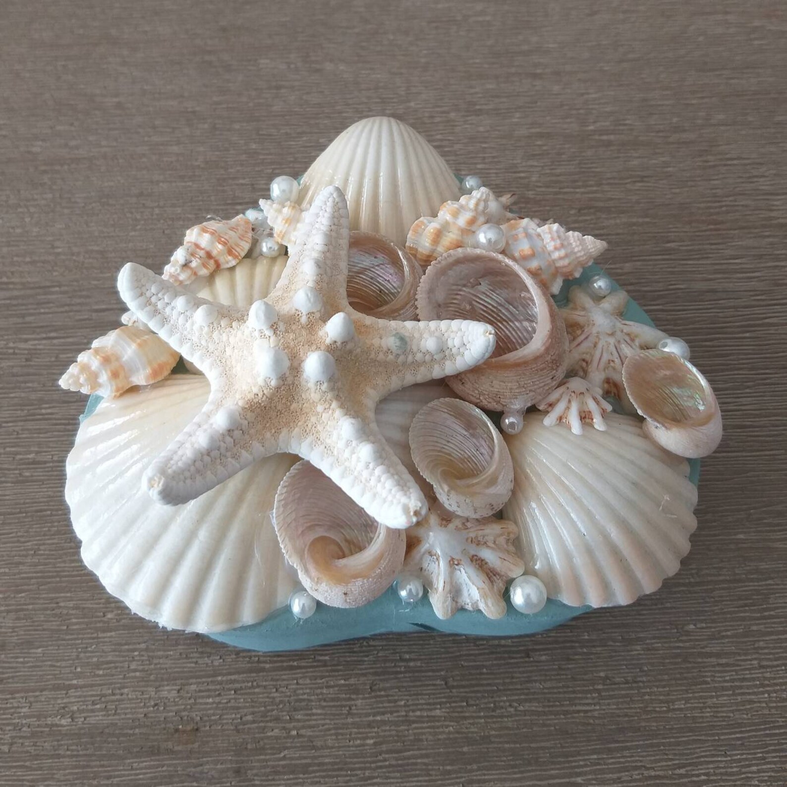 Beach Decor Seashell Gift Box and Frame Seashell Box Shell - Etsy