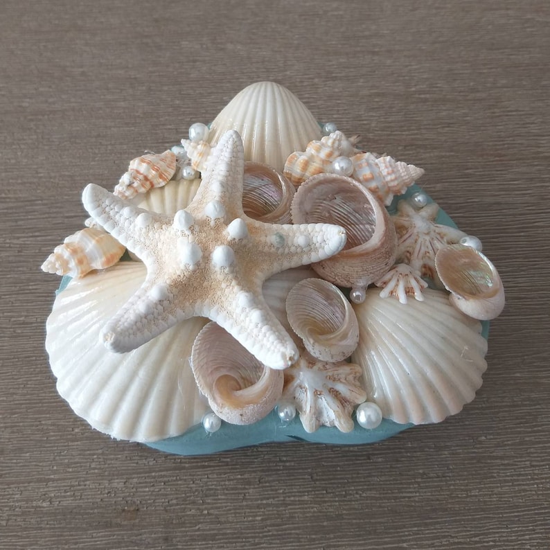 Beach Decor Seashell Gift Box and Frame Seashell Box Shell - Etsy
