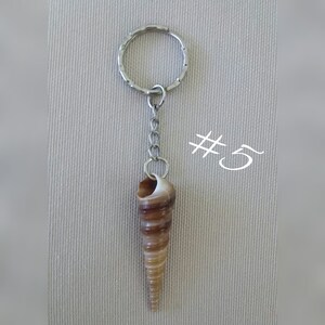 Seashell Key Chain Beach Key Chain Key Ring Key Fob Seashell Key Holder ...