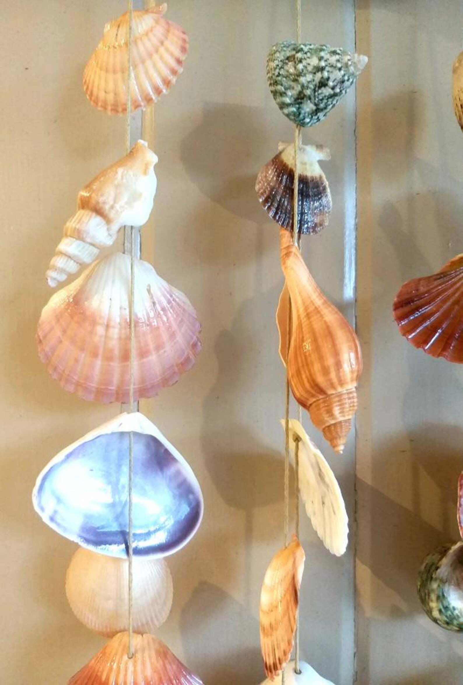 Seashell, Driftwood Wind Chime/ Wall Hanging, Rustic Wind Chime, Beach ...