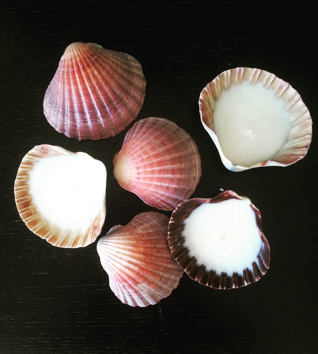Hand Made Seashell Candles Seashells Candles Reusable Seashells Beach ...