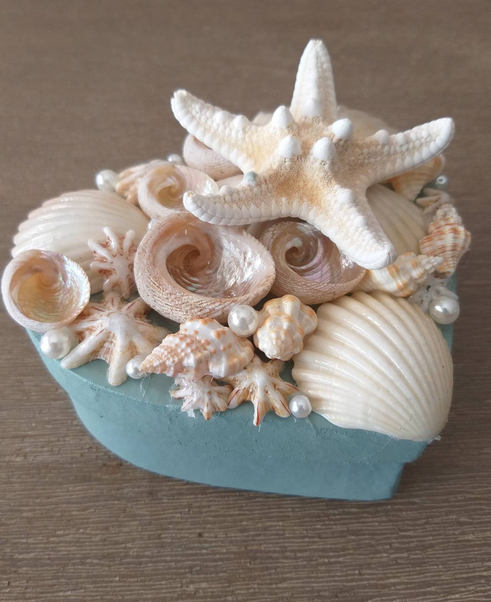 Beach Decor Seashell Gift Box and Frame Seashell Box Shell - Etsy