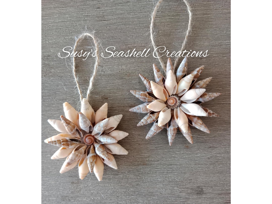 Seashell Christmas Ornament, Set of TWO, Beach Christmas Tree Ornament ...