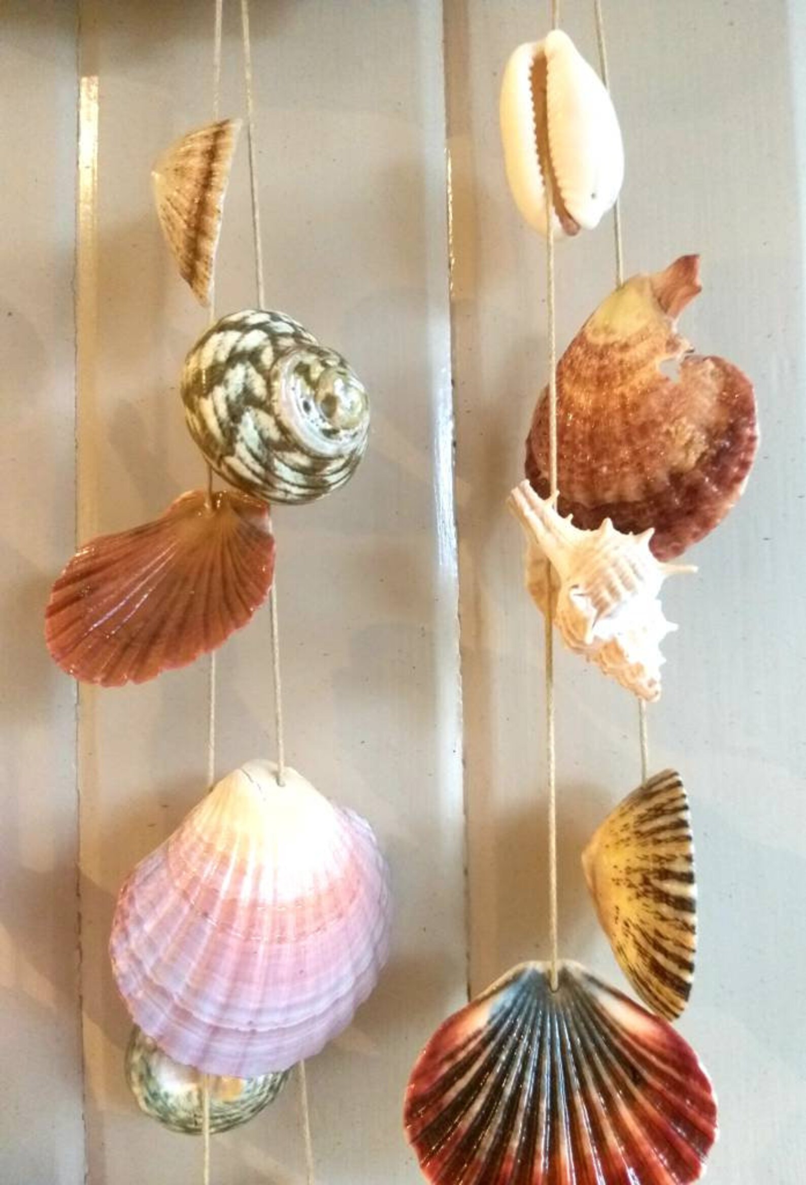 Seashell Driftwood Wind Chime/ Wall Hanging Rustic Wind - Etsy