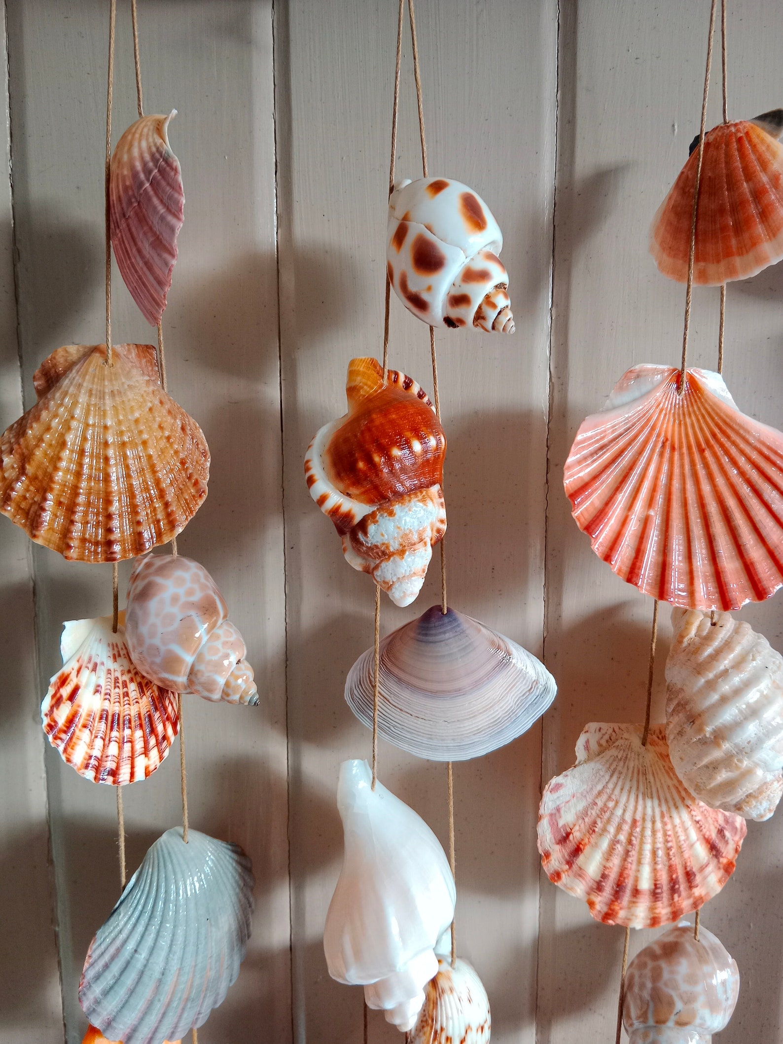 Seashell, Driftwood Wind Chime/ Wall Hanging, Rustic Wind Chime, Beach ...
