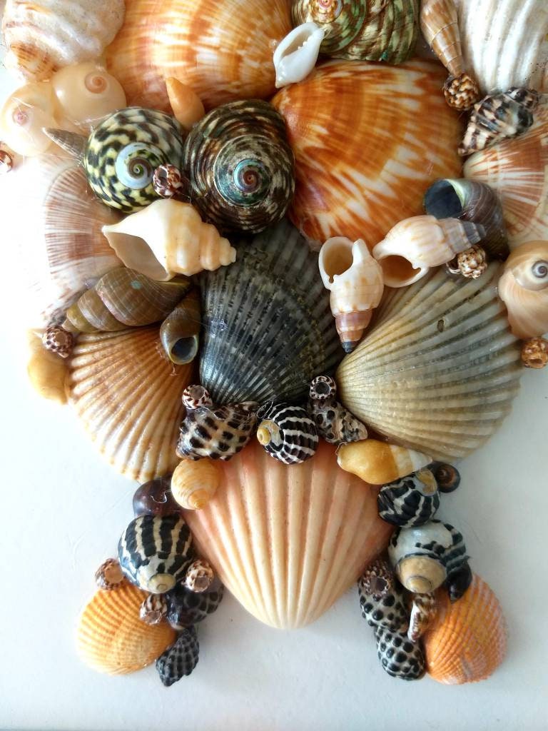 Seashell Turtle Turtle Wall Art wall hanging wall decor | Etsy