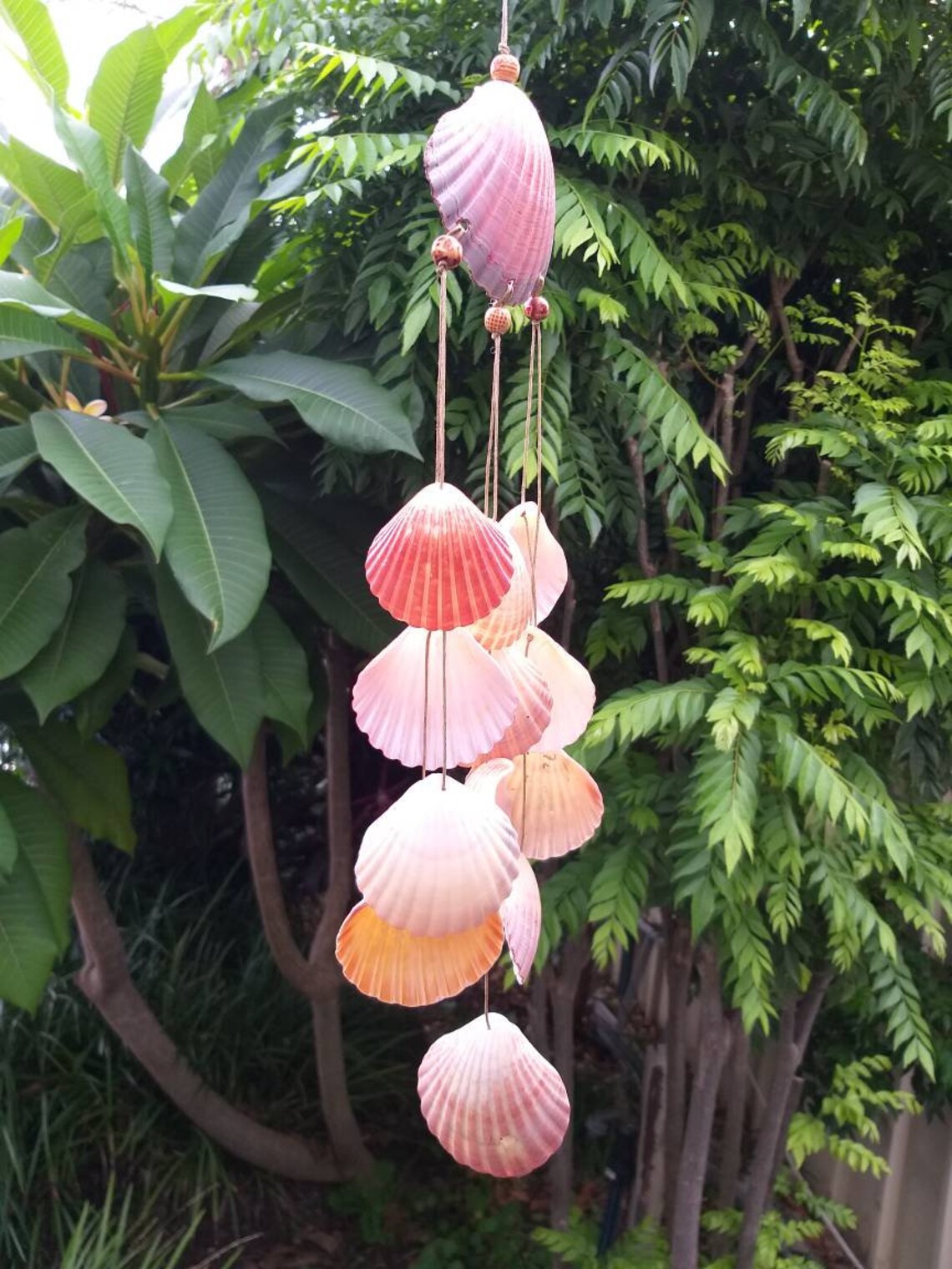 DIY Seashell Wind Chime Windchime Kit Garden Decor Wall - Etsy Australia