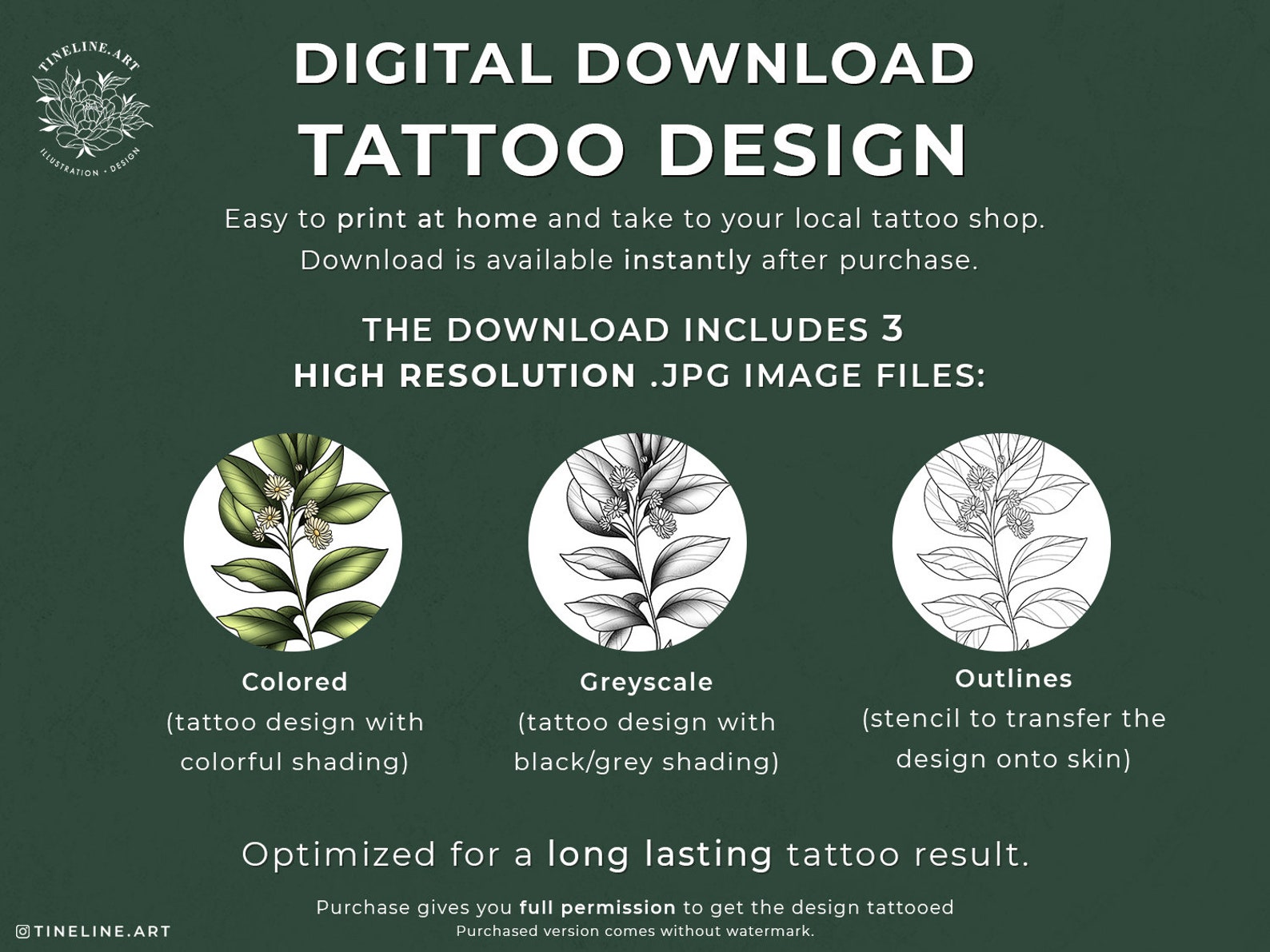 Japanese Star Anise Tattoo Design – Botanical Art, Shading Stencil ...