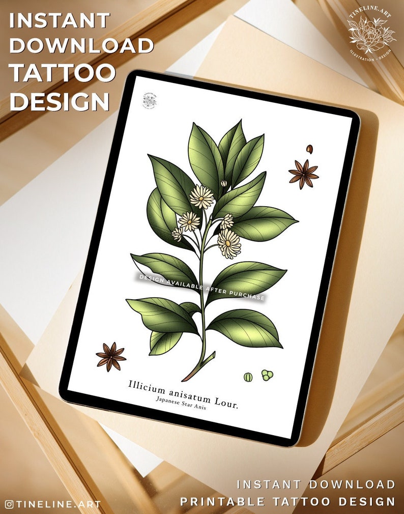 Japanese Star Anise Tattoo Design – Botanical Art, Shading Stencil ...