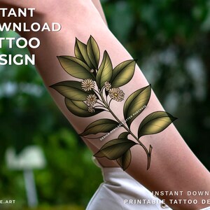 Colored Japanese Star Anise - Botanical Art - Black/grey - Instant ...