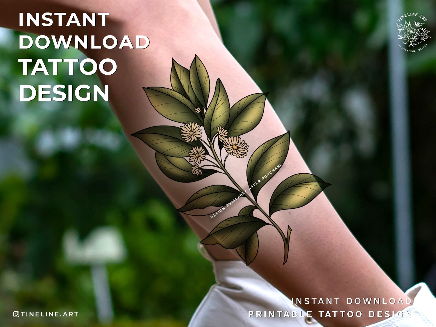 Japanese Star Anise Tattoo Design – Botanical Art, Shading Stencil ...